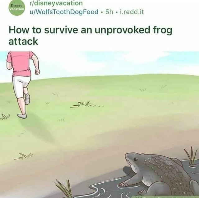 Sh i.redd.it /chsneyvacation How to survive an unprovoked frog attack ...
