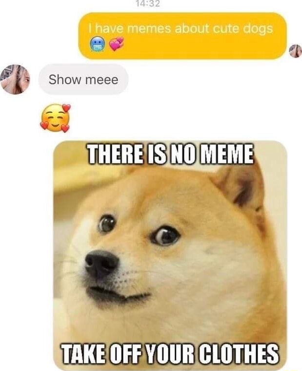 I have memes about cute dogs Show meee THERE IS NO MEME 'TAKE OFF OFF ...