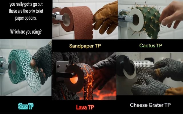 You really gotta go but these are the only toilet paper options, Which ...