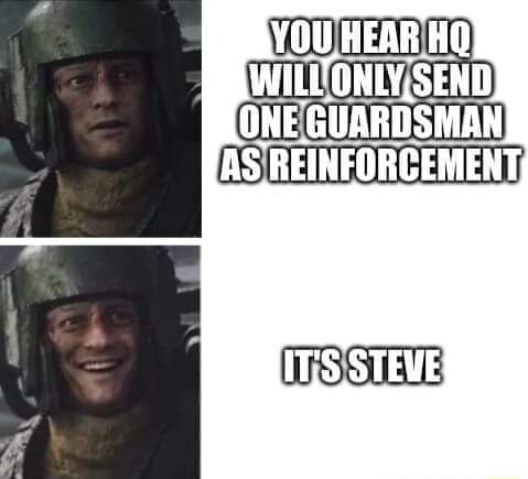 AS REINFORCEMENT, ITS STEVE - iFunny