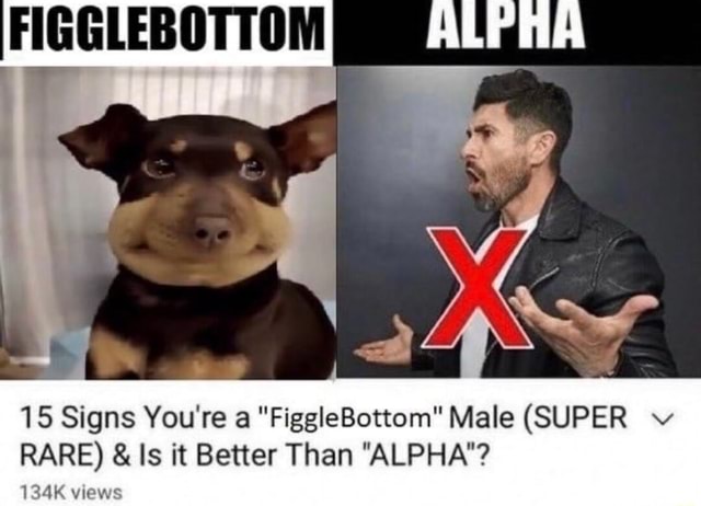 15 Signs You're "FiggleBottom" Male (SUPER RARE) & Is it Better Than ...