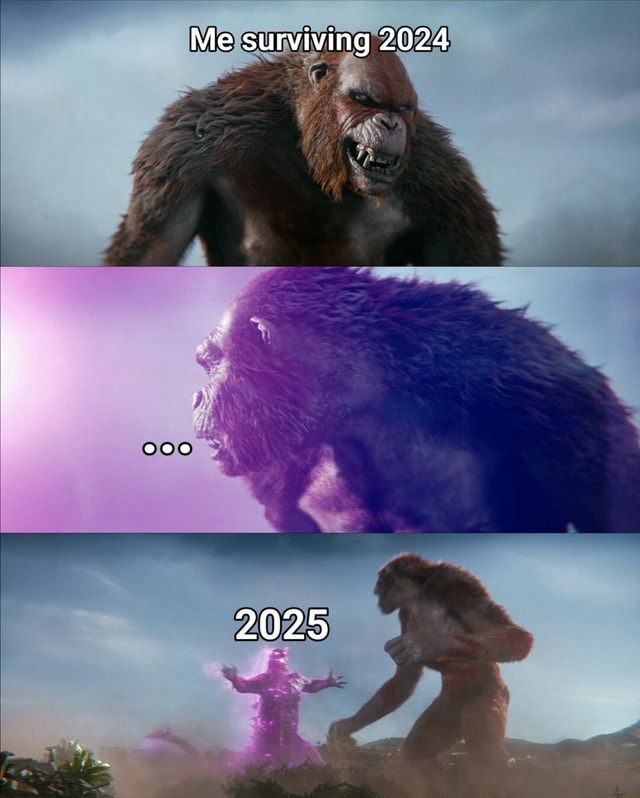 Me surviving 2024 2025 - iFunny