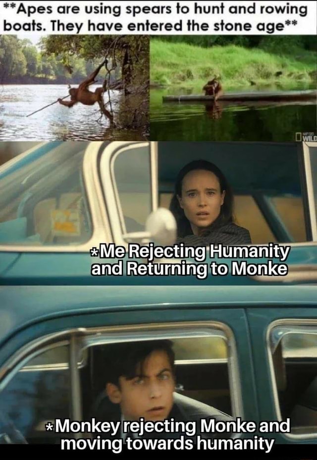 **Apes are using spears to hunt and rowing boats. They have entered the ...