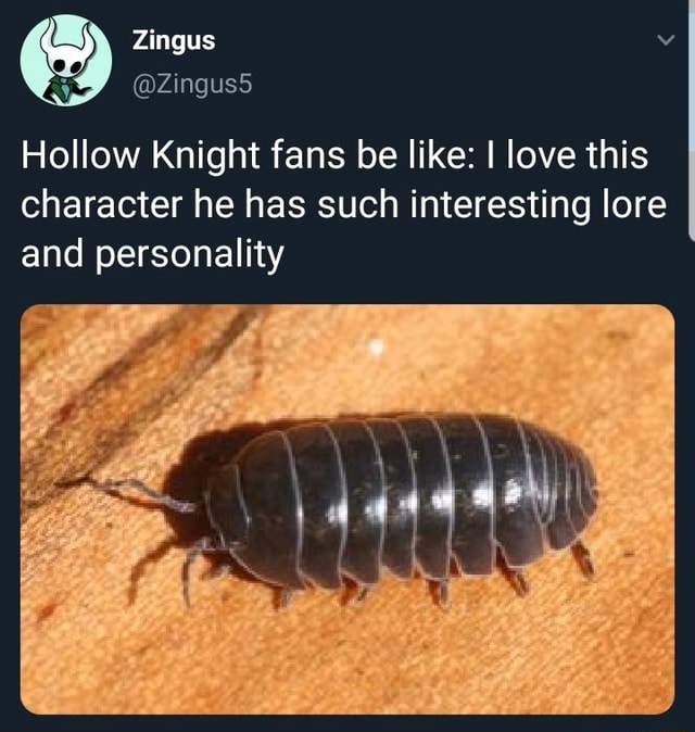 @Zingus5 Zingus Hollow Knight fans be like: I love this character he ...