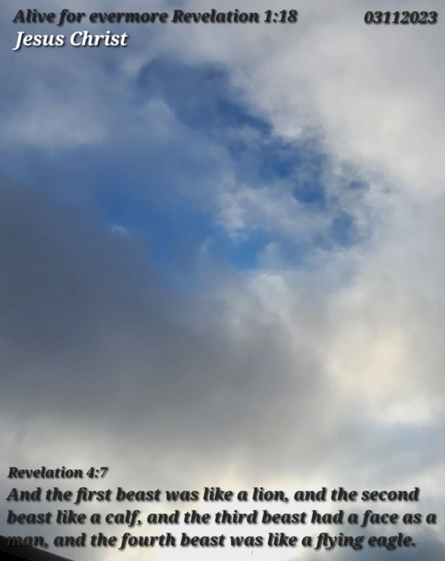 Jesus Christ Revelation ind the first beast was like a lion, and the ...