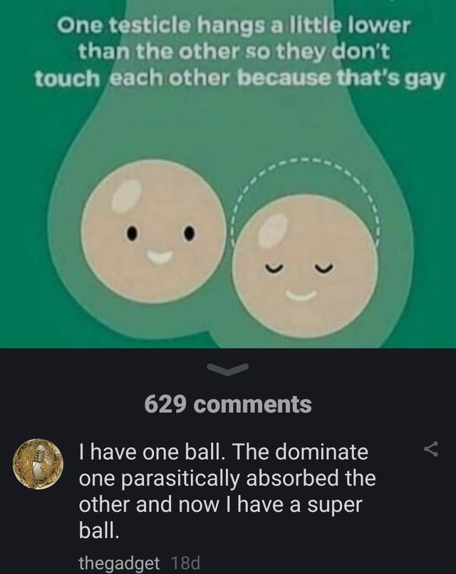 One testicle hangs a little lower than the other so they don't touch ...