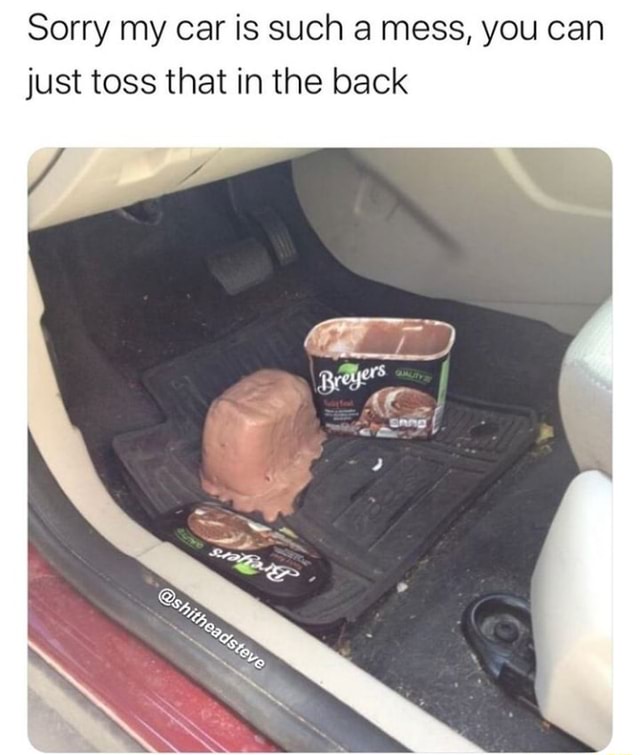 Sorry my car is such a mess, you can just toss that in the back - iFunny