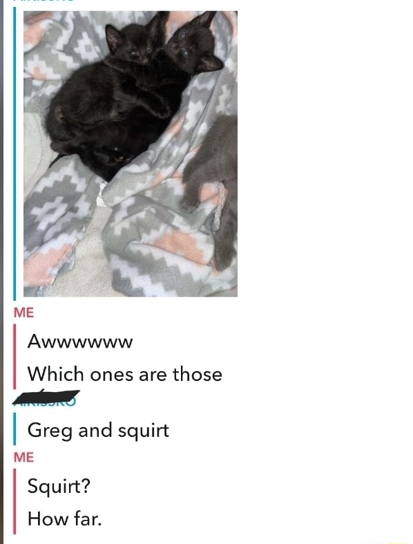 Which Ones Are Those Et I Greg And Squirt Me Squirt How Far Ifunny