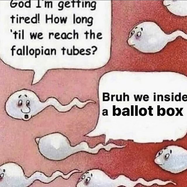 God getting tired! How long 'til we reach the fallopian tubes? Bruh we ...