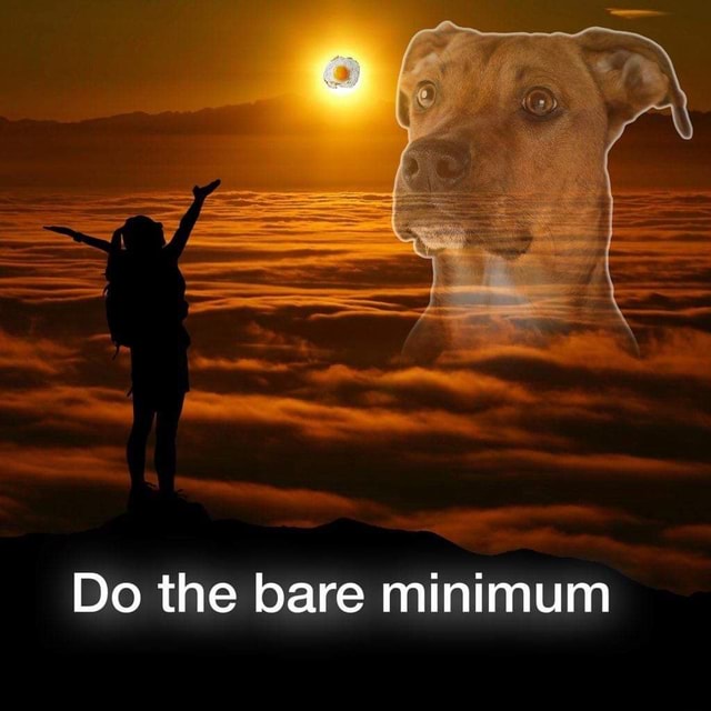 Do the bare minimum - iFunny