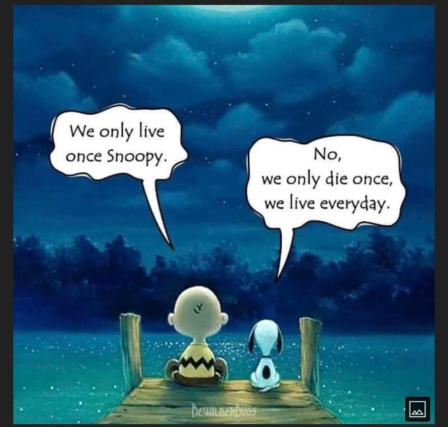( We only live once Sneopy. No, we only die once, we live everyday ...