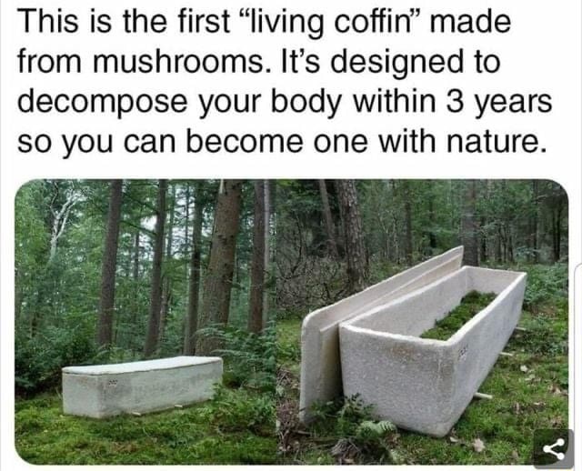 This is the first "living coffin' made from mushrooms. It's designed to ...