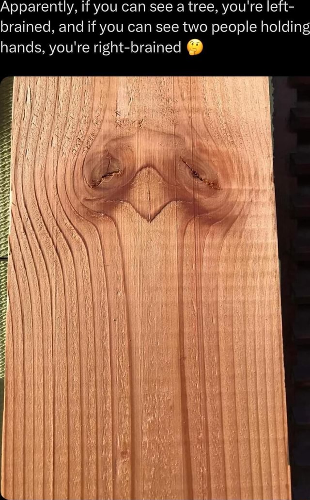 Apparently, if you can see a tree, you re left- brained, and if you can ...