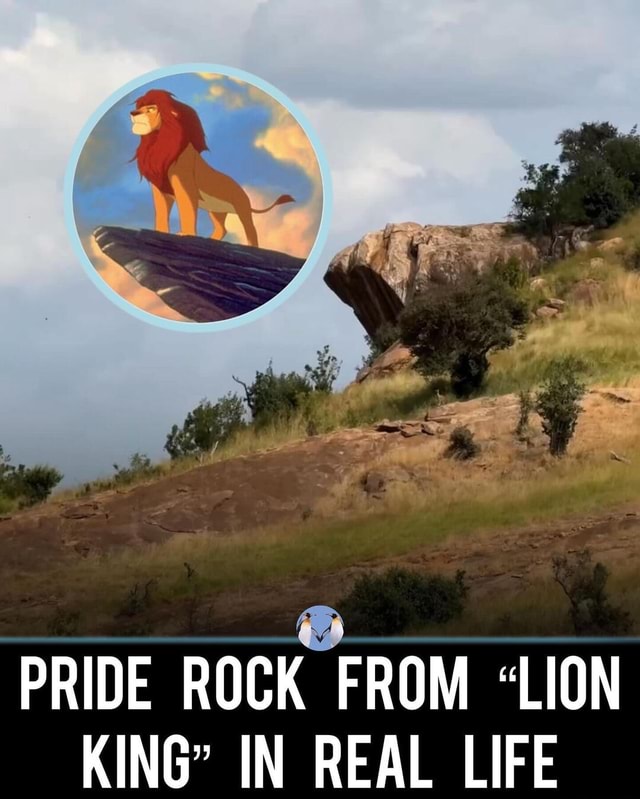 The real-life PRIDE ROCK from Disney’s Lion King 🦁👑 Borana Conservancy ...