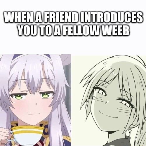 WHEN WHEN A FRIEND INTRODUCES YOU TOA FELLOW, WEEB - iFunny