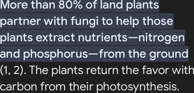More than 80% of land plants partner with fungi to help those plants ...