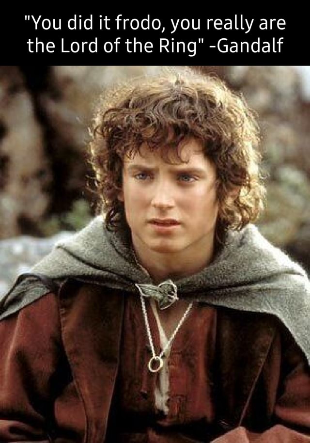 "You did it frodo, you really are the Lord of the Ring" -Gandalf - iFunny