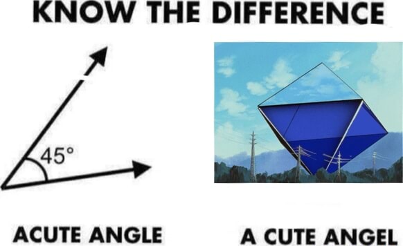 KNOW THE DIFFERENCE As , ACUTE ANGLE A CUTE ANGEL - iFunny