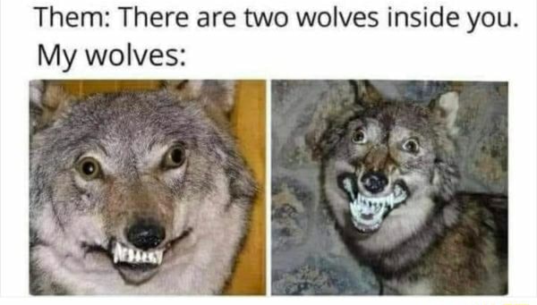 Them: There are two wolves inside you. My wolves: - iFunny