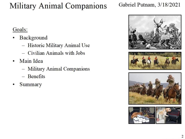 Slides describing historical military animal use, modern civilian ...