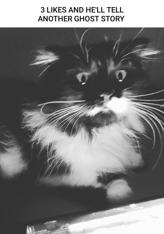 3 LIKES AND HE'LL TELL ANOTHER GHOST STORY - iFunny