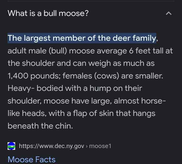 What is a bull moose? The largest member of the deer family, adult male ...