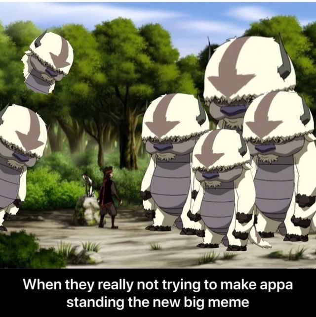 When they really not trying to make appa standing the new big meme ...