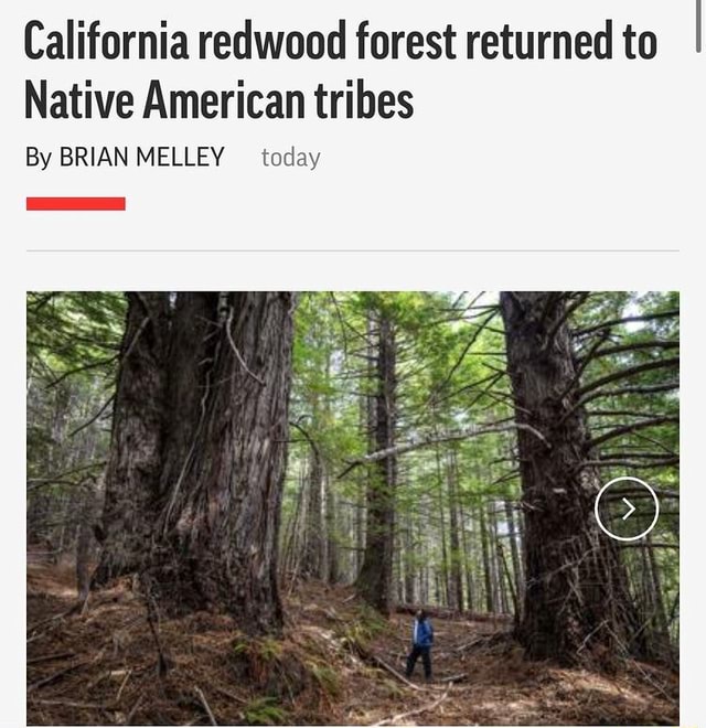 California redwood forest returned to I Native American tribes By BRIAN ...