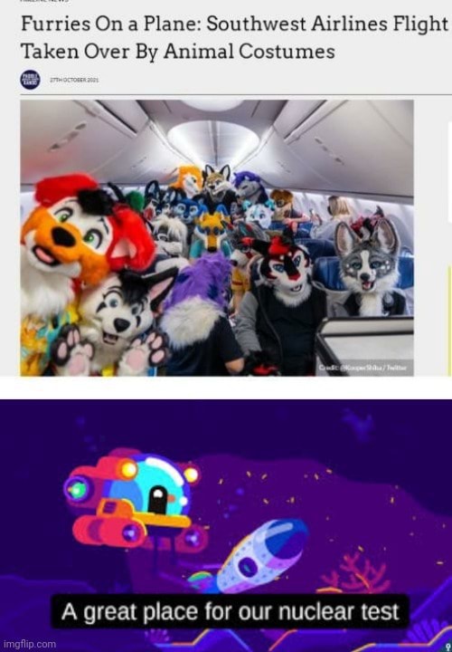 Furries On a Plane: Southwest Airlines Flight Taken Over By Animal ...