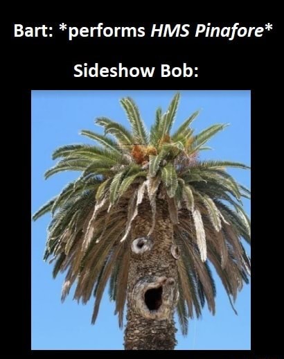 Bart: *performs HMS Pinafore* Sideshow Bob: - iFunny
