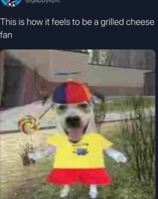 SS This is how it feels to be a grilled cheese fan - iFunny