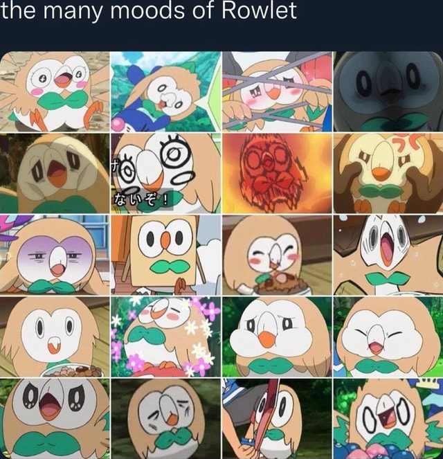 The many moods of Rowlet I - iFunny