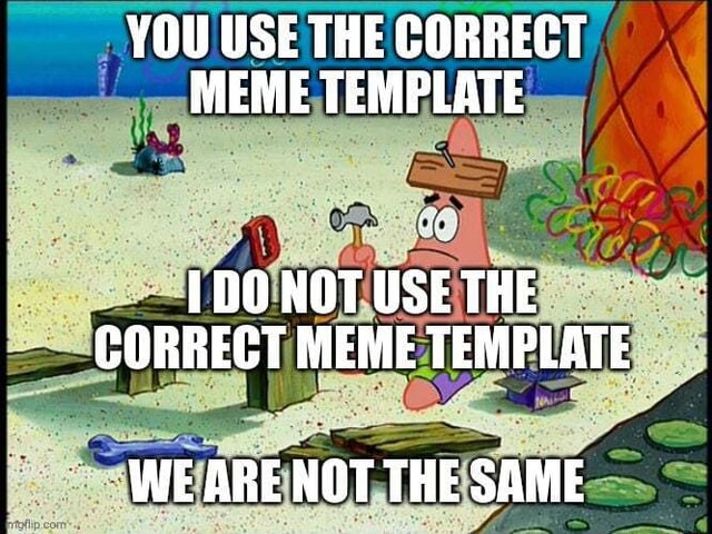 YOU USE THE CORRECT MEME TEMPLATE NOT USE THE CORRECT MEME TEMPLATE WE ...