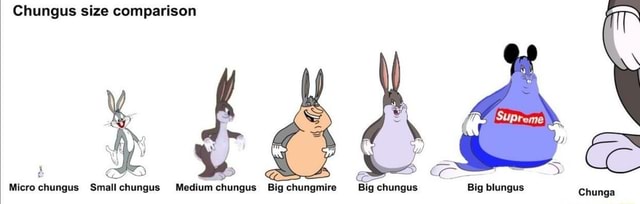 Chungus size comparison Micro chungus Small chungus Mediumchungus Big ...