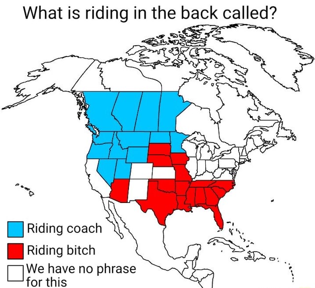 What is riding in the back called? Riding coach Riding bitch We have no ...
