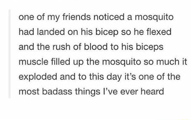 One of my friends noticed a mosquito had landed on his bicep so he ...
