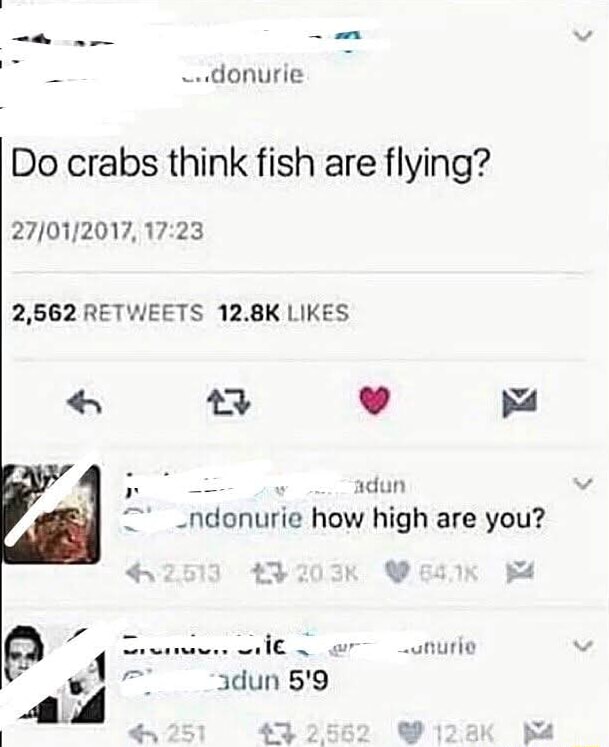 - donurie Do crabs think fish are flying? 17 23 2,862 RETWEETS 12.8K ...