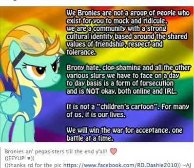 We Bronies a eroup of people who sp 'you. to mock 'and ridicule ...
