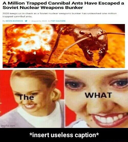 Million Trapped Cannibal Ants Have Escaped Soviet Nuclear Weapons ...