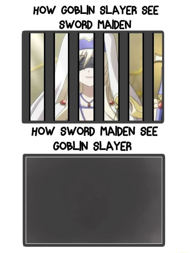 HOW GOBLIN SLAYER SEE SWORD MAIDEN HOW SWORD MAIDEN SEE GOBLIN SLAYER ...