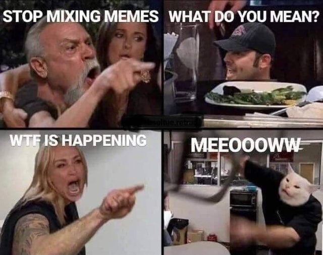 Mixing memes - STOP MIXING MEMES WHAT YOU MEAN? WF IS HAPPENING ...