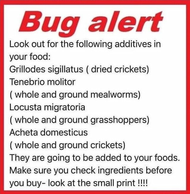 Bug alert Look out for the following additives in your food: Grillodes ...