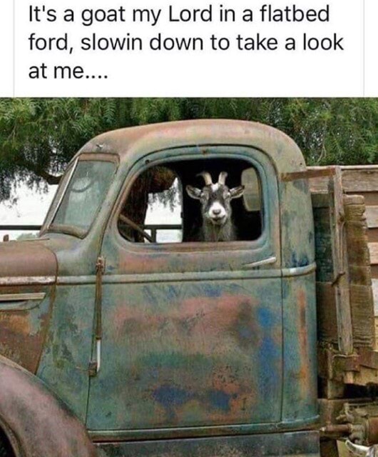 It's a goat my Lord in a flatbed ford, slowin down to take a look at me ...