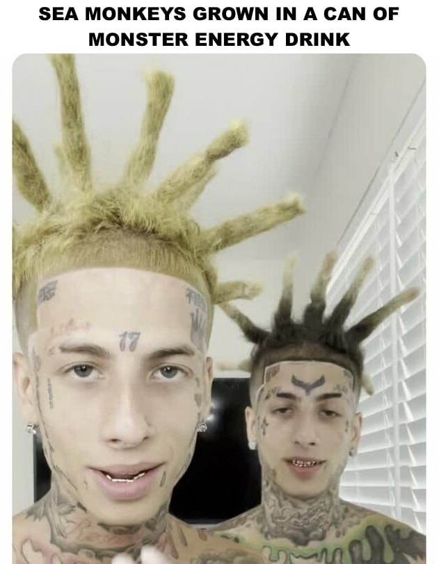 SEA MONKEYS GROWN IN A CAN OF MONSTER ENERGY DRINK ES - iFunny