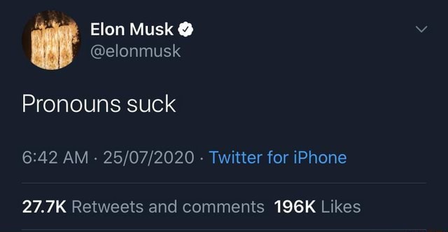 Elon Musk @ @elonmusk Pronouns suck AM - - Twitter for iPhone - iFunny