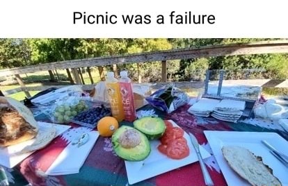 Picnic was a failure - iFunny