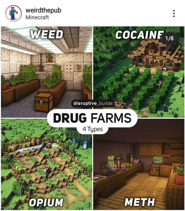 Weirdthepub Minecraft COCAINE builds DRUG FARMS Types - iFunny