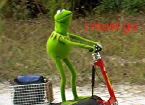 Kermitting sewerslide !! ( kermit memes ) - iFunny
