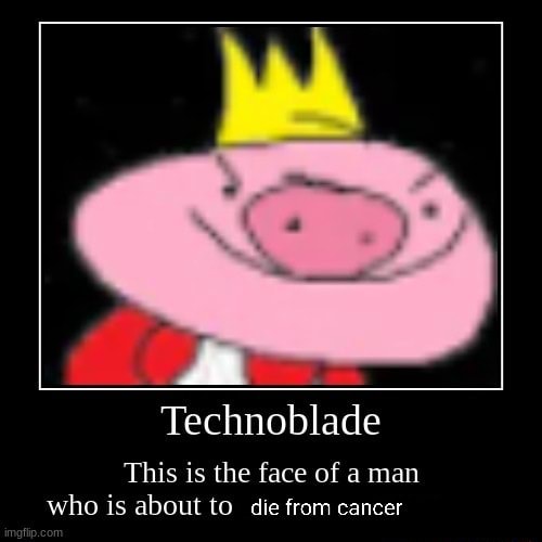 Technoblade This is the face of man who is about to die from cancer ...