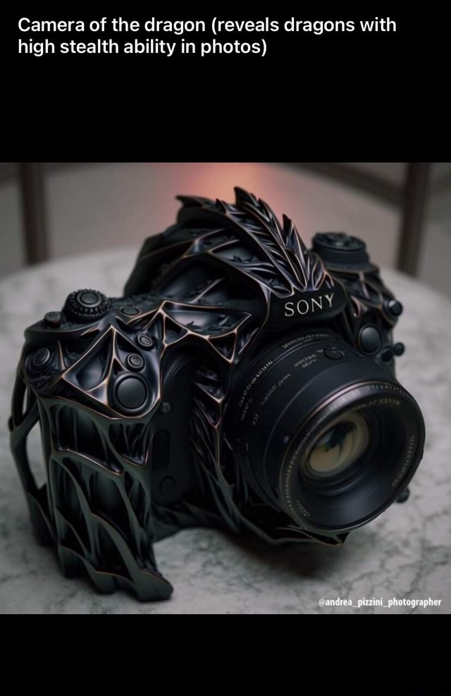 Camera of the dragon (reveals dragons with high stealth ability in ...